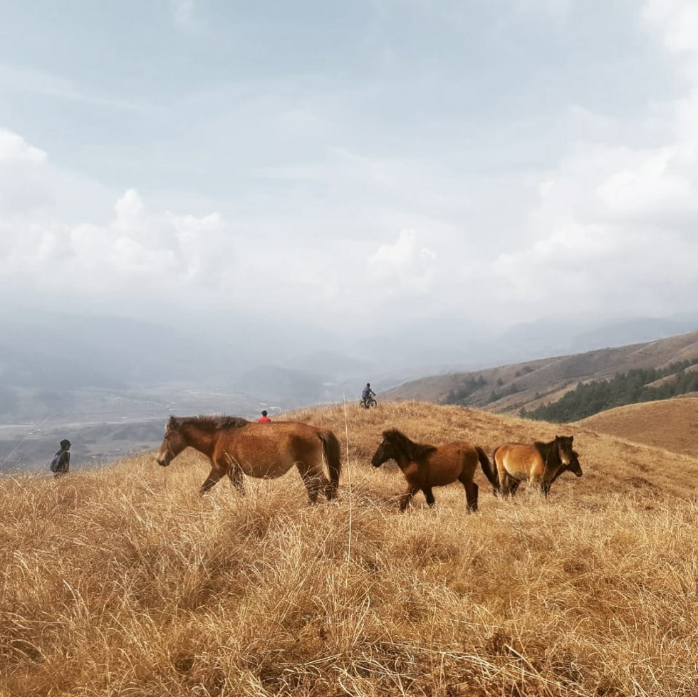 Aalo-Mechuka Package | Arunachal Tourism